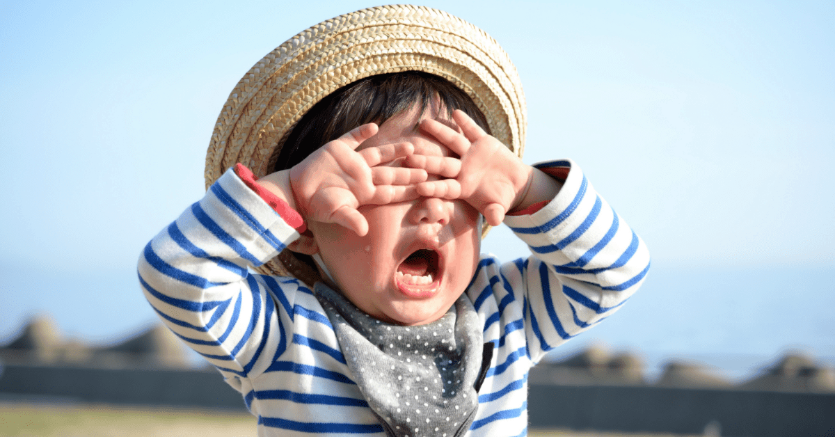 How To Stop Toddler Temper Tantrums Even When In Public 